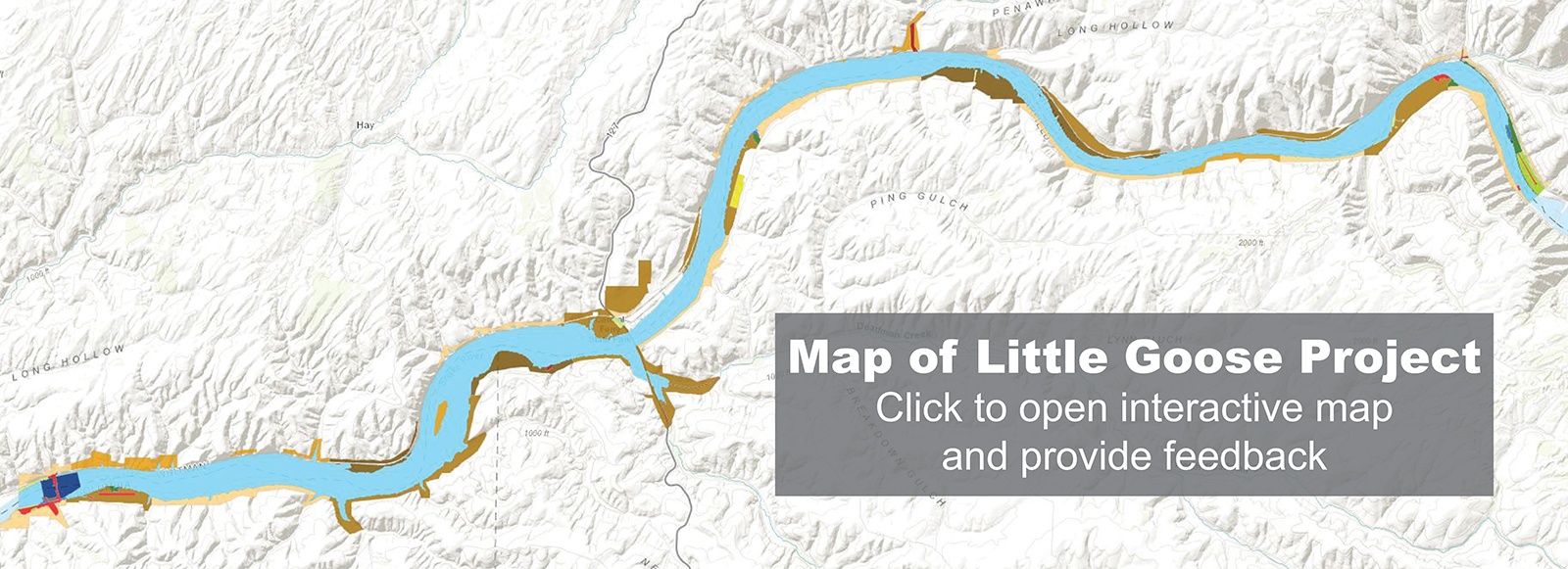 Little Goose Master Plan